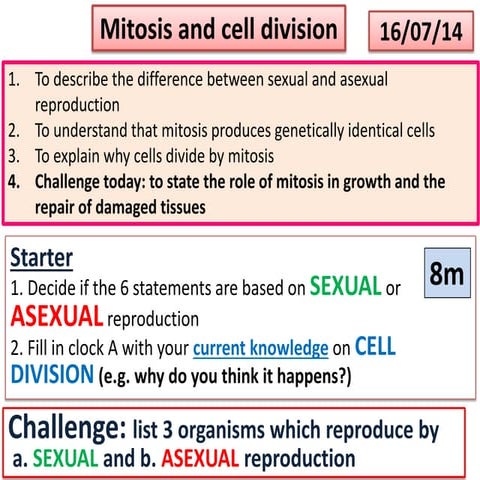 mitosis and cell division.pptx