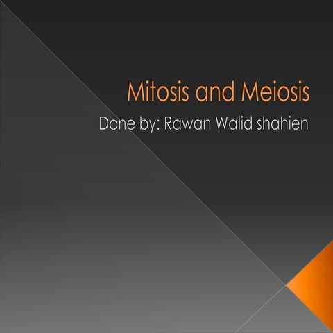 Mitosis | PPT