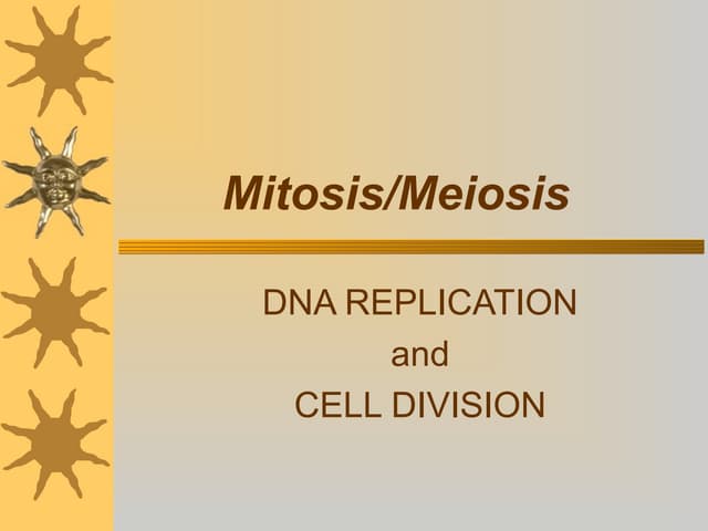 Difference between mitosis and meiosis | PPT | Biological Sciences ...