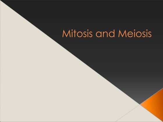 Mitosis | PPT