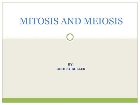 Mitosis and Meiosis: A comparison and contrastppt | PPT