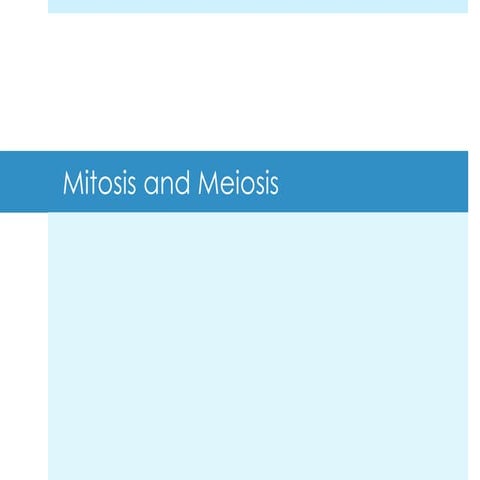 Mitosis and meiosis slides | PPTX