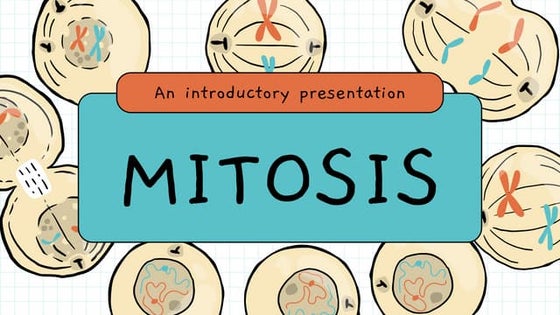 Mitosis Cell Division Biology Presentation in a Colorful Bold Style ...