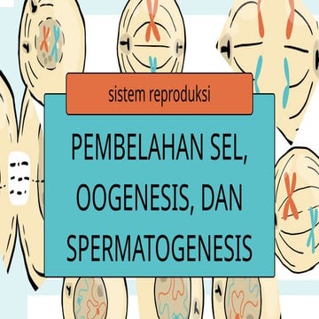 Mitosis Cell Division Biology Presentation in a Colorful Bold Style.pptx