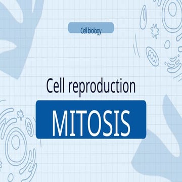 Mitosis Cell reproduction Presentation in blue orange illustrative ...