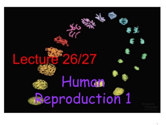 Mitosis and meiosis revision and recap session | PPT