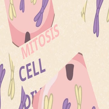Mitosis Educational Presentation in Pink Tan Purple Fun Cell Division ...