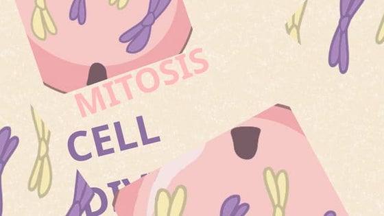 Cell Cycle and Cell Division | PPTX | Biological Sciences | Science