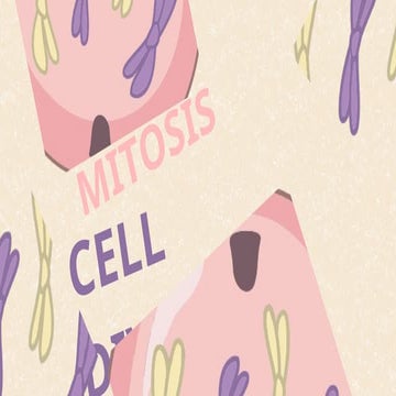 Mitosis Educational Presentation in Pink Tan Purple Fun Cell Division ...