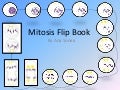 Mitosis Flip Book Template