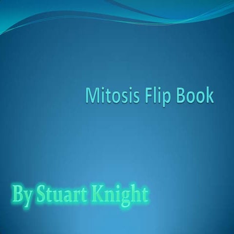 Mitosis Flip Book | PPTX