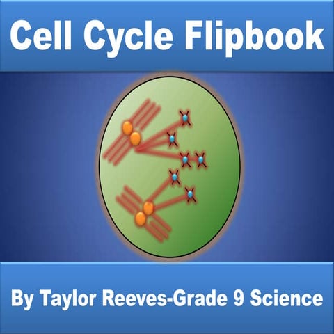 Mitosis Flip Book Template Image024.gif