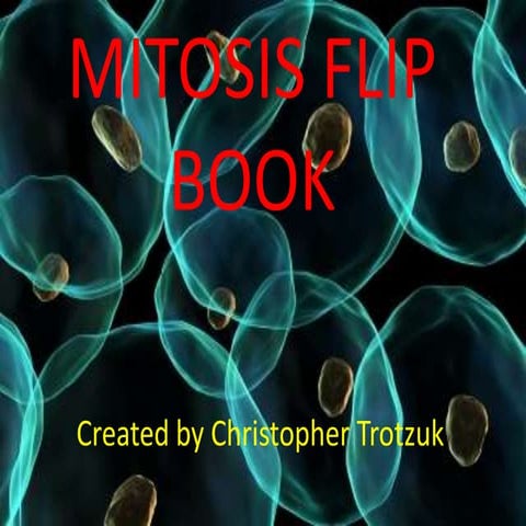 Mitosis Flip Book | PPTX