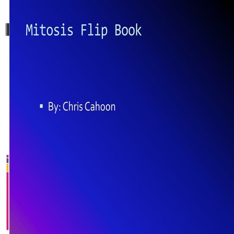 Mitosis Flip Book | PPTX | Biological Sciences | Science