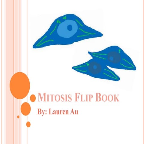 Mitosis Flip Book | PPT