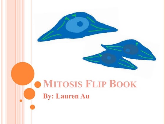 Mitosis project | PPT