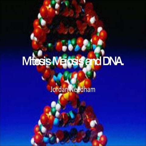 Mitosis meiosis and dna | PPT