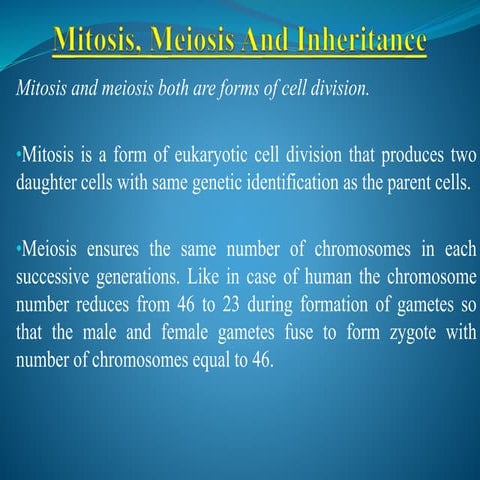Mitosis, meiosis and inheritance | PPTX
