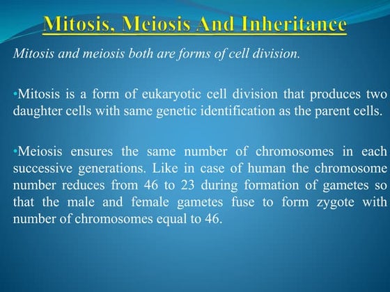 Chromosomal theory of inheritance | PPT