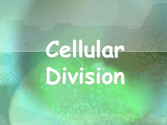 CELL DIVISION.ppt