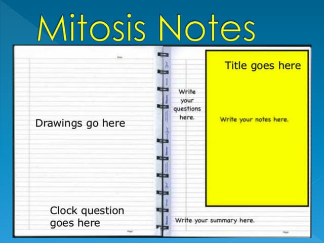 Mitosis Notes 7th grade level | PPT