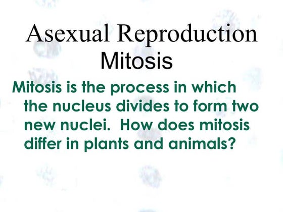 Senior High School Material Mitosis an Asexual Reproduction.ppt