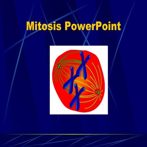 Mitosis Power Point | PPT