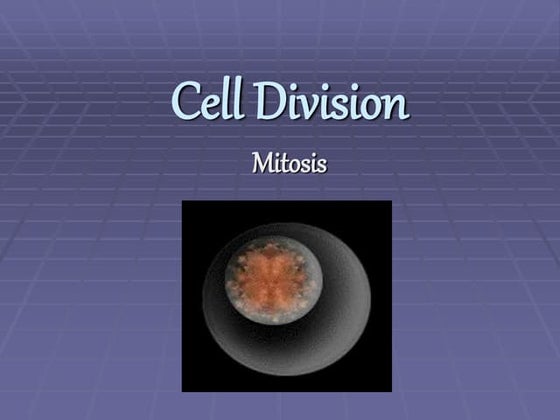Mitosis powerpoint | PPT | Needlework | Arts and Crafts