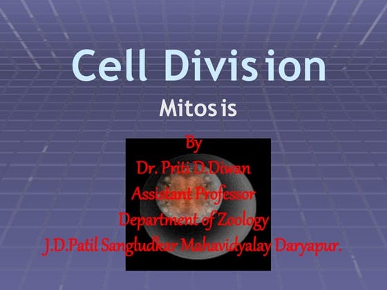 Mitosis powerpoint | PPT | Needlework | Arts and Crafts