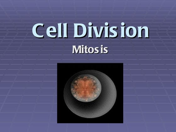 Cell Division | PPT