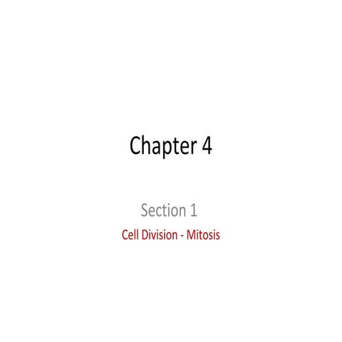 Mitosis powerpoint | PPT