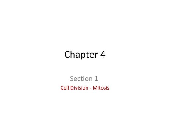 Mitosis division | PPT