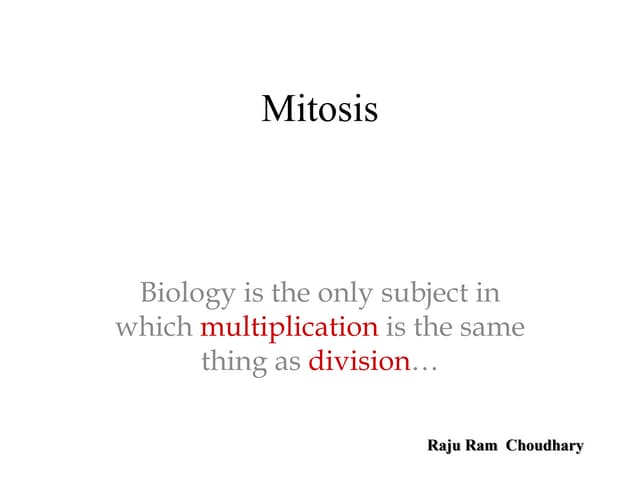 Mitosis | PPT