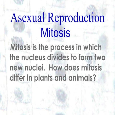 Mitosis | PPT