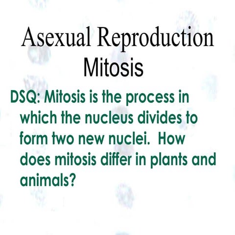 Mitosis ppt | PPT