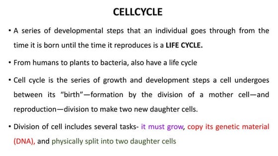 Mitosis | PPT