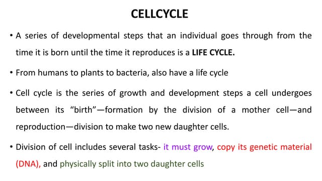 Mitosis powerpoint | PPT