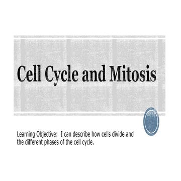 Cell Cycle Notes | PPTX