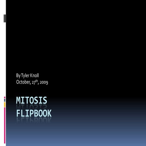 Mitosis Flip Book | PPTX