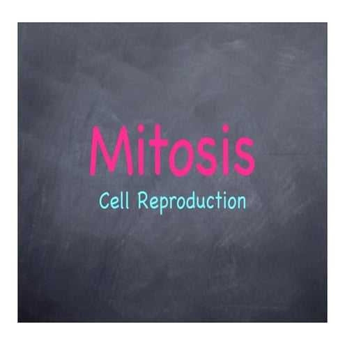 Mitosis Show | PDF