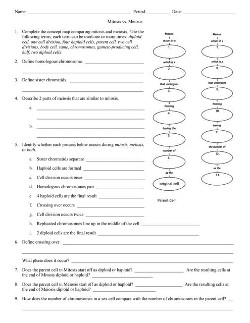 Ap biology meiosis | PDF
