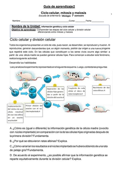 Actividad De Laboratorio Y Hojas De Trabajo Sobre Mitosis DIVISIÓN