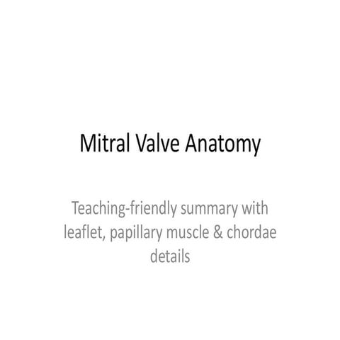 Mitral_Valve_Anatomy-with schematic diagram | PDF