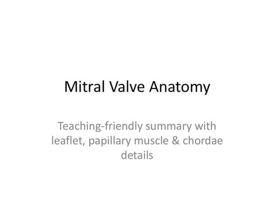 Mitral valve anatomy.pptx | Heart and Cardiovascular Diseases ...
