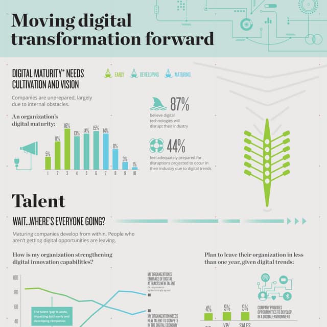 INFOGRAPHIC: Moving digital transformation forward | PDF