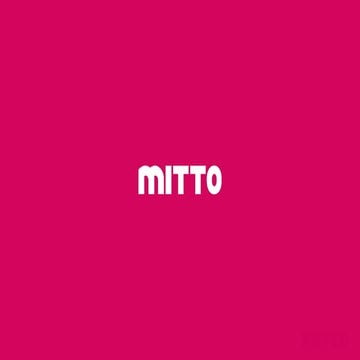 Mitto AG Corporate Overview | PPTX