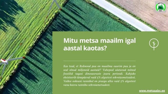 Metsatüübid Maailmas | Metsa ABC | PPT