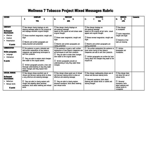Mixed messages-project-rubric | DOCX