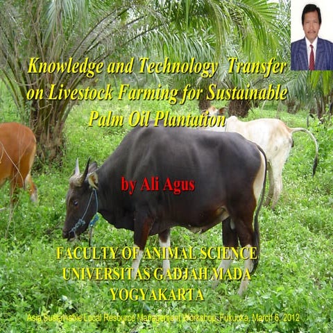 Mix farming palm cattle role of knowledge transfer | PDF