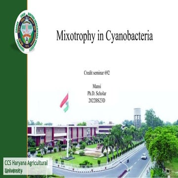 mixotrophy in cyanobacteria: a dual nutritional strategy | PPT